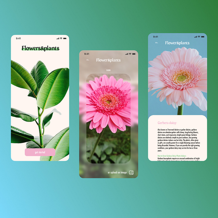 Flower&Plants app by giorgia schito on Dribbble