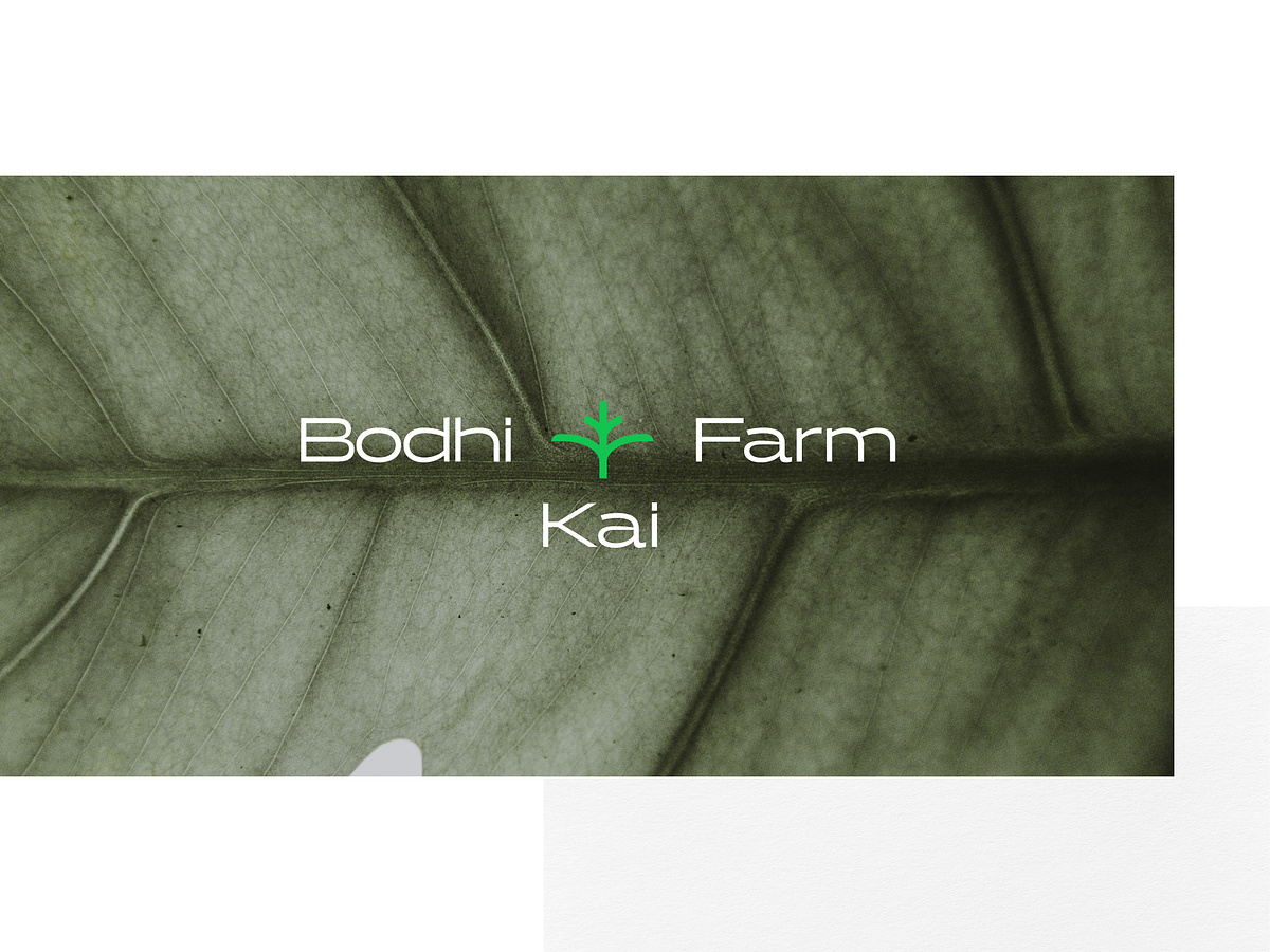 Browse thousands of Farm Logo images for design inspiration | Dribbble