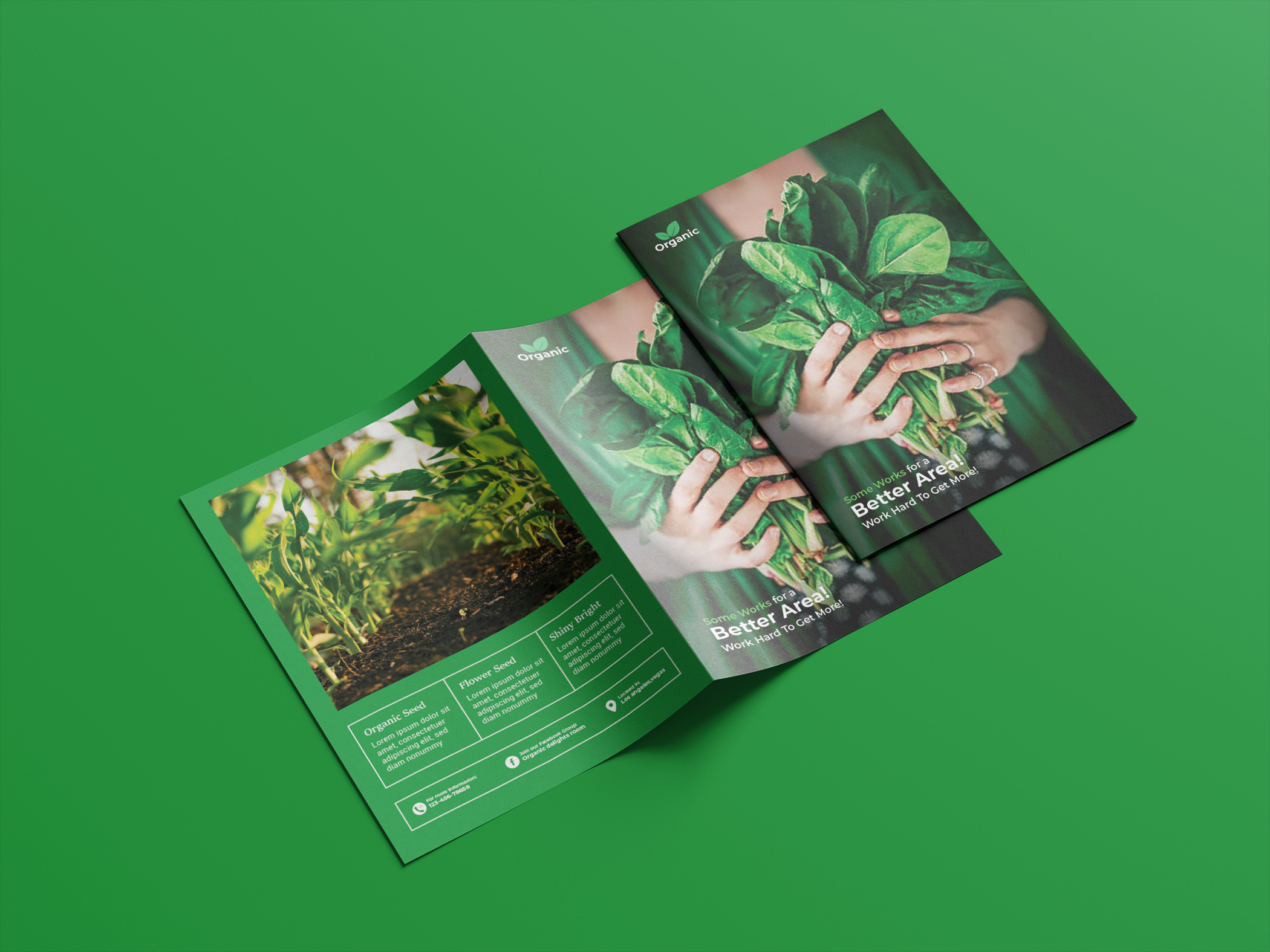 Organic Brochure | Proffesional Brochure | Brochure🍃 by Bristy Sultana ...