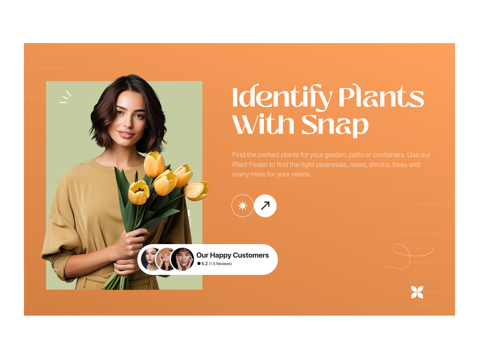 Flower shop web ui design by Roohi Koohi on Dribbble