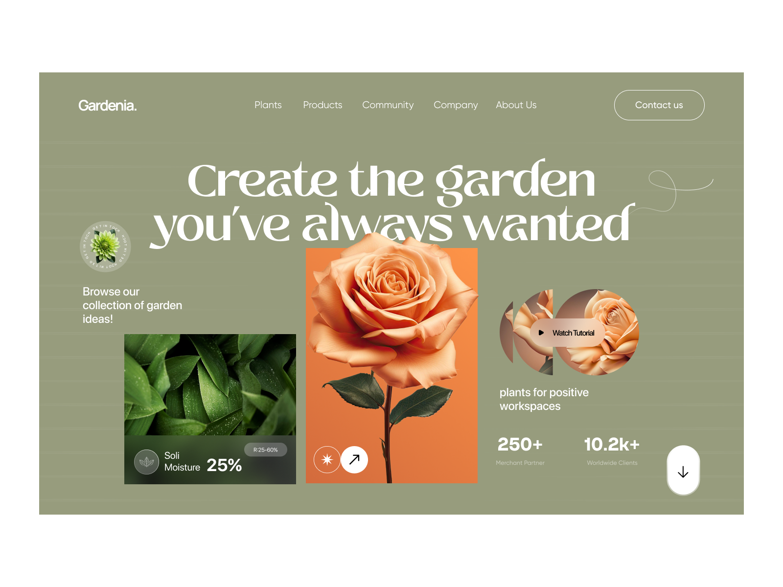 Flower shop web ui design by Roohi Koohi on Dribbble