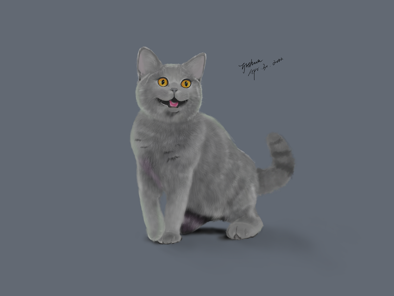 CAT by TJoshua on Dribbble