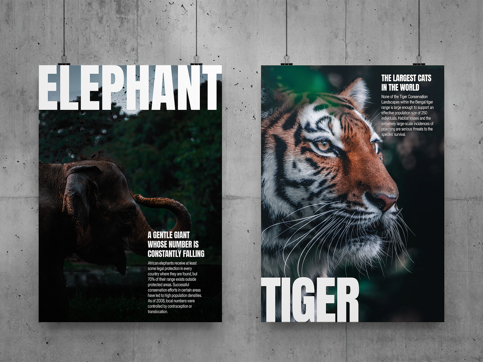Animal Poster Design by Marija Đekić on Dribbble
