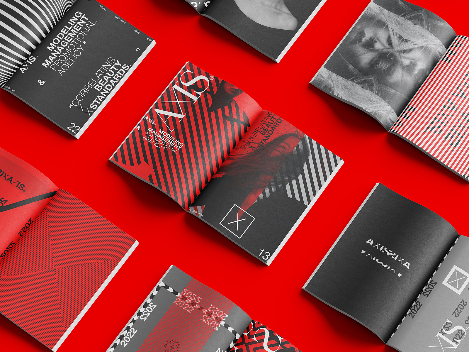 AXIS™ Visual Guide/Look Book by Yairon Martinez on Dribbble