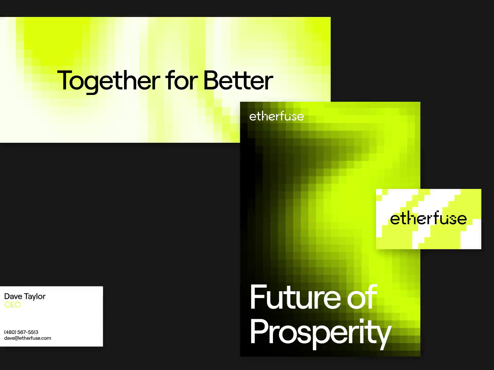 Etherfuse — Brand Identity by Báchoo Studio on Dribbble