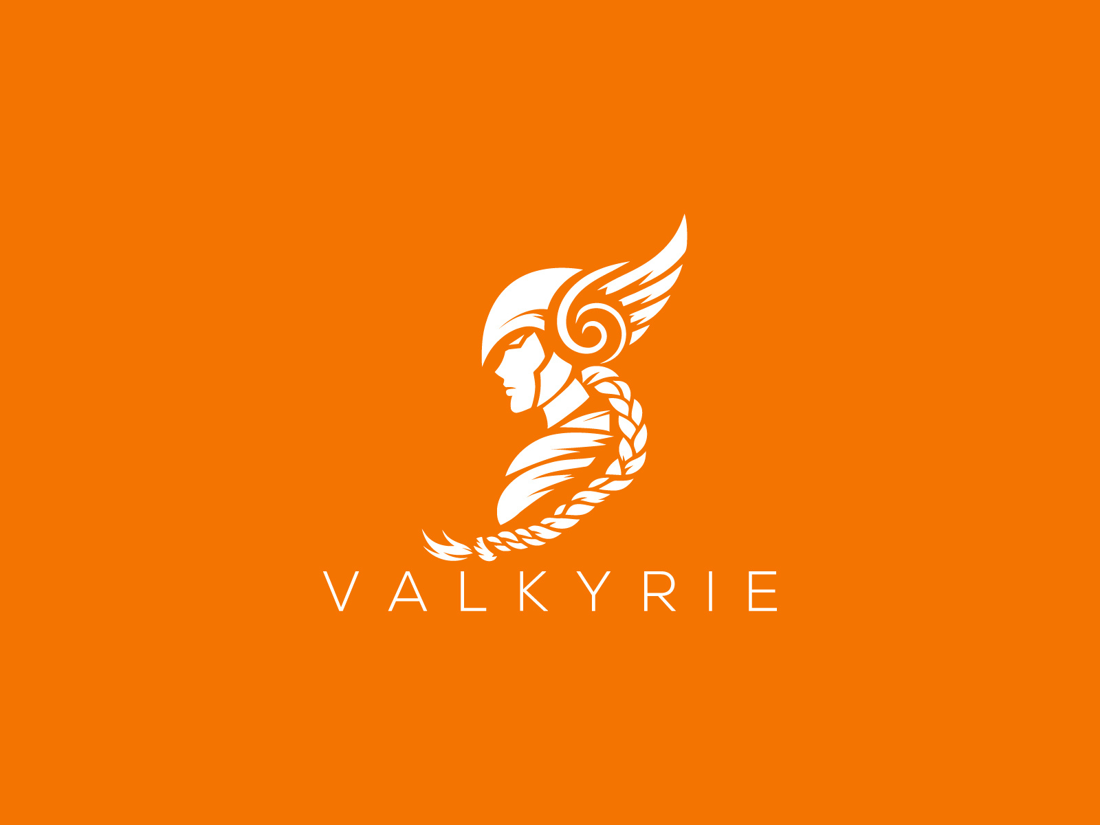 Valkyrie Logo by Ben Naveed 🇺🇸 on Dribbble