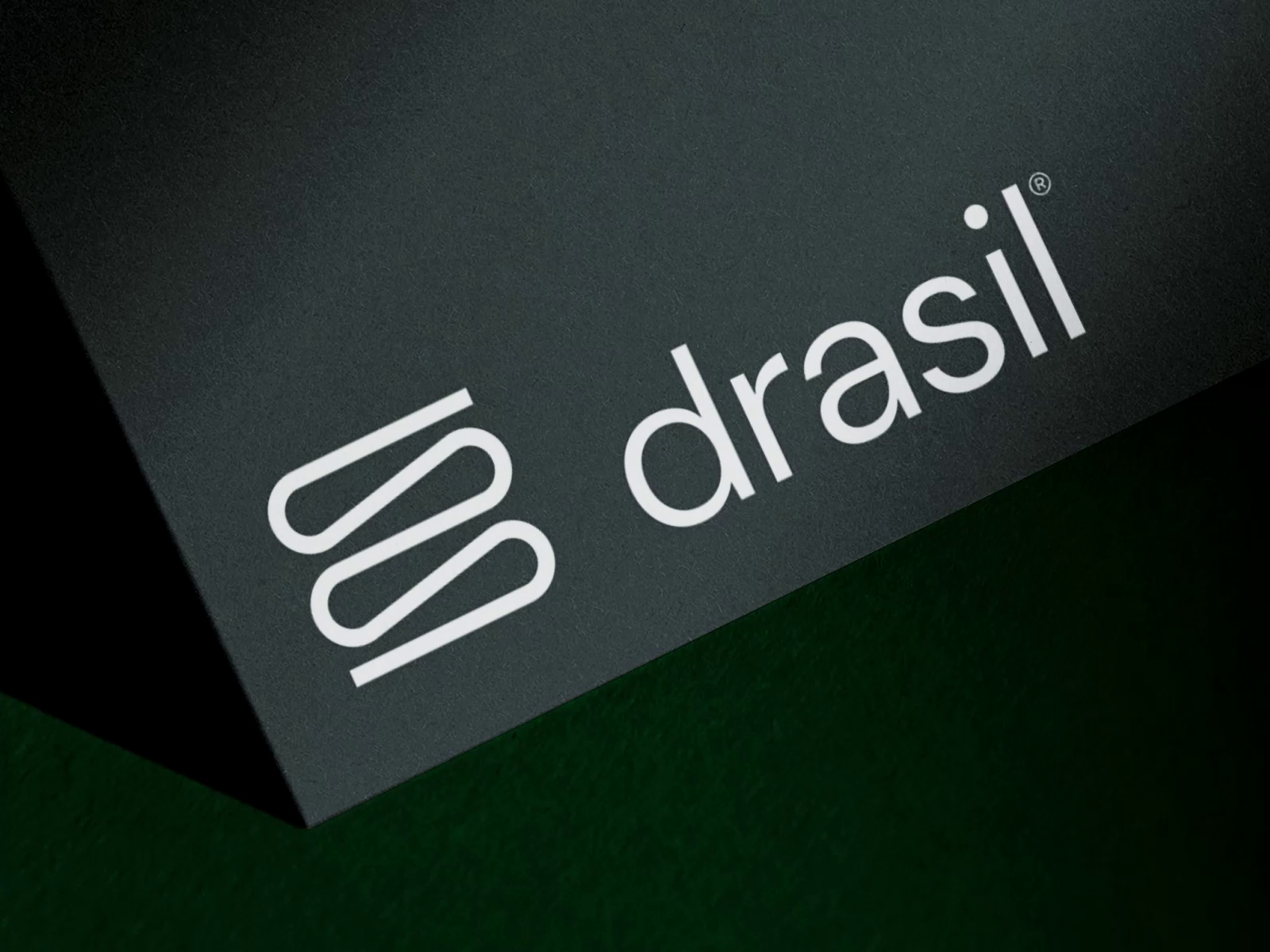 Drasil - Branding concept by Nikola Matošević on Dribbble