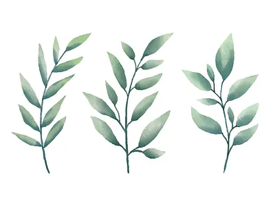 Watercolor Leaf designs, themes, templates and downloadable graphic ...