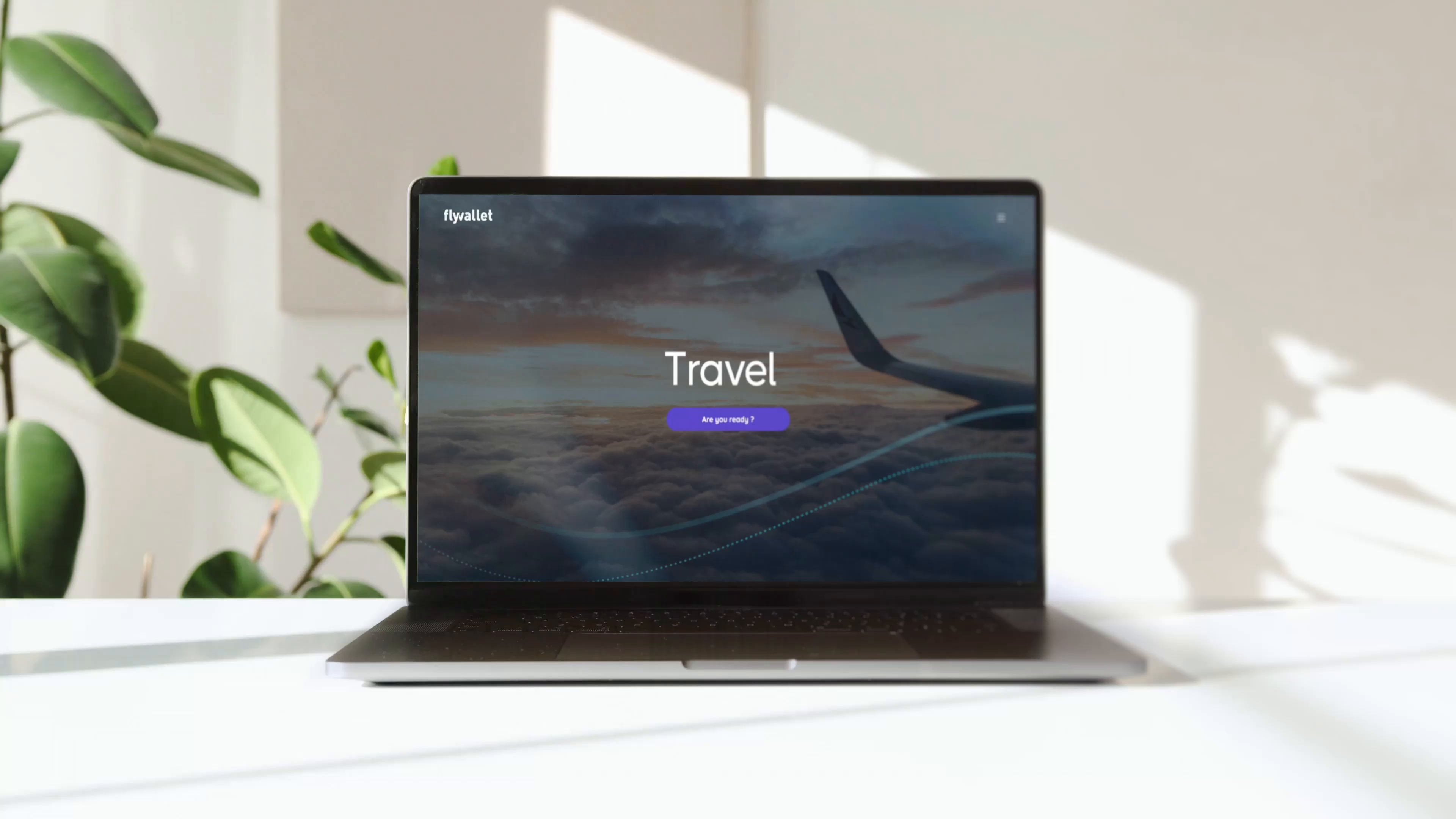 Flywallet Website by Cecília Veloso on Dribbble