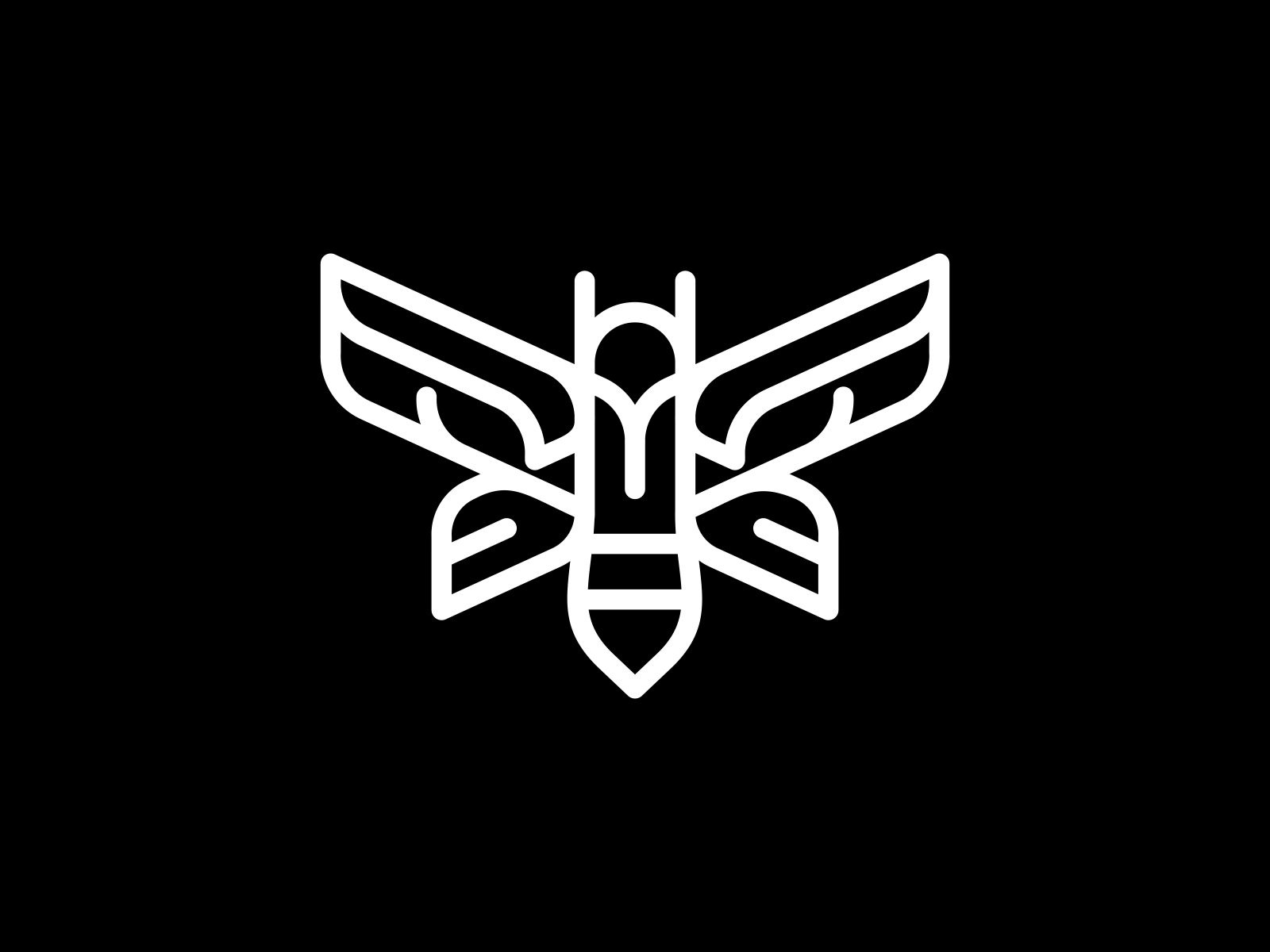 Insect Mark by Buqancreative on Dribbble