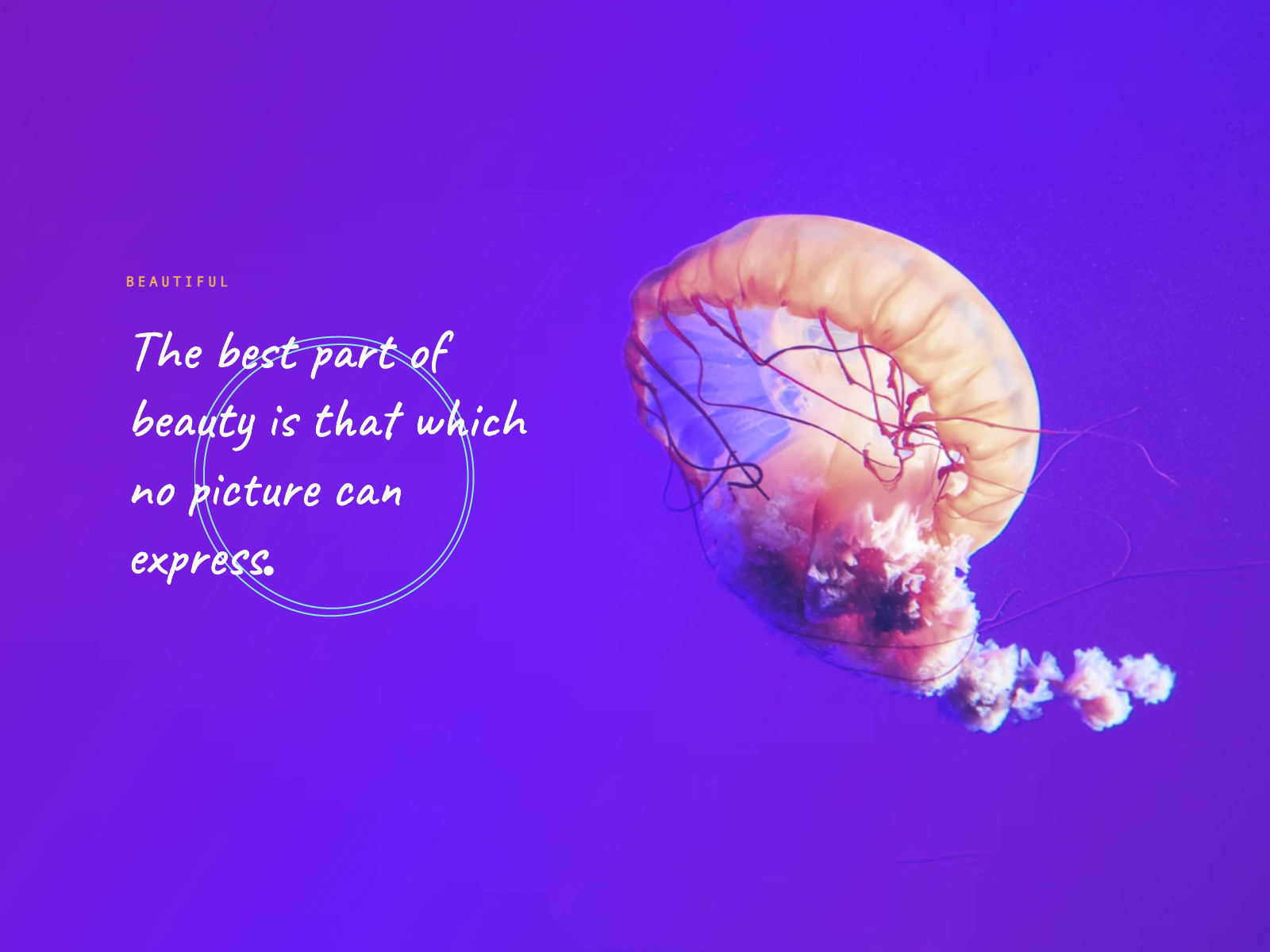 Jellyfish by Artem Zhigalin on Dribbble
