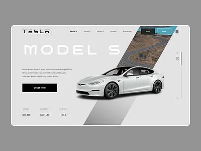 Tesla Landing Page designs, themes, templates and downloadable graphic ...