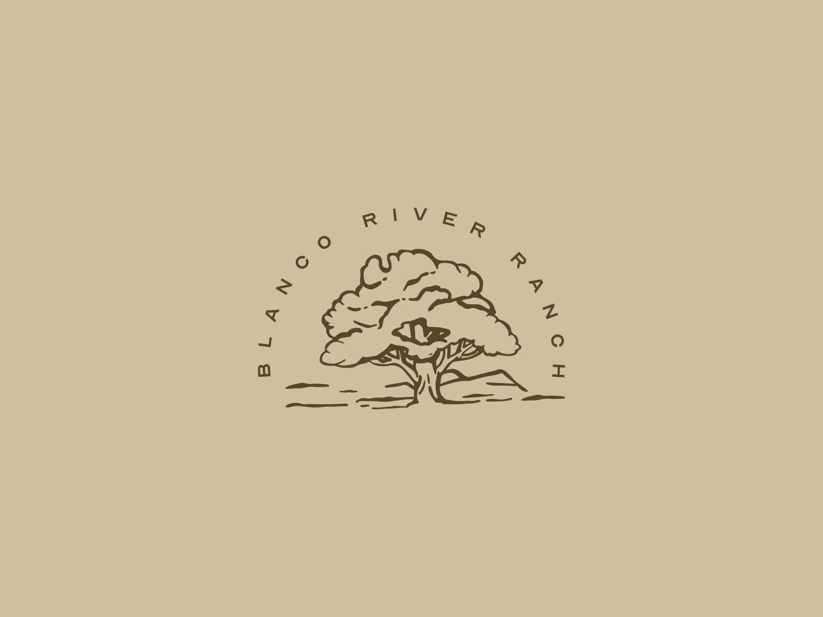 blanco river ranch 3 by Erin Hervey on Dribbble