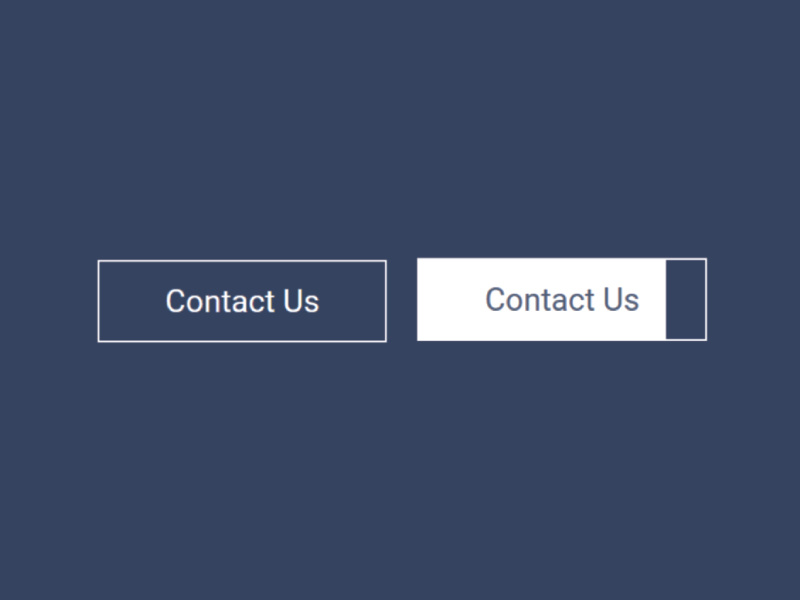 CSS Button Hover Animation Example by codingflicks on Dribbble