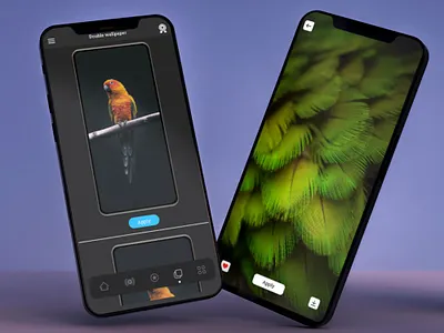 Wallpaper App UI designs, themes, templates and downloadable graphic ...