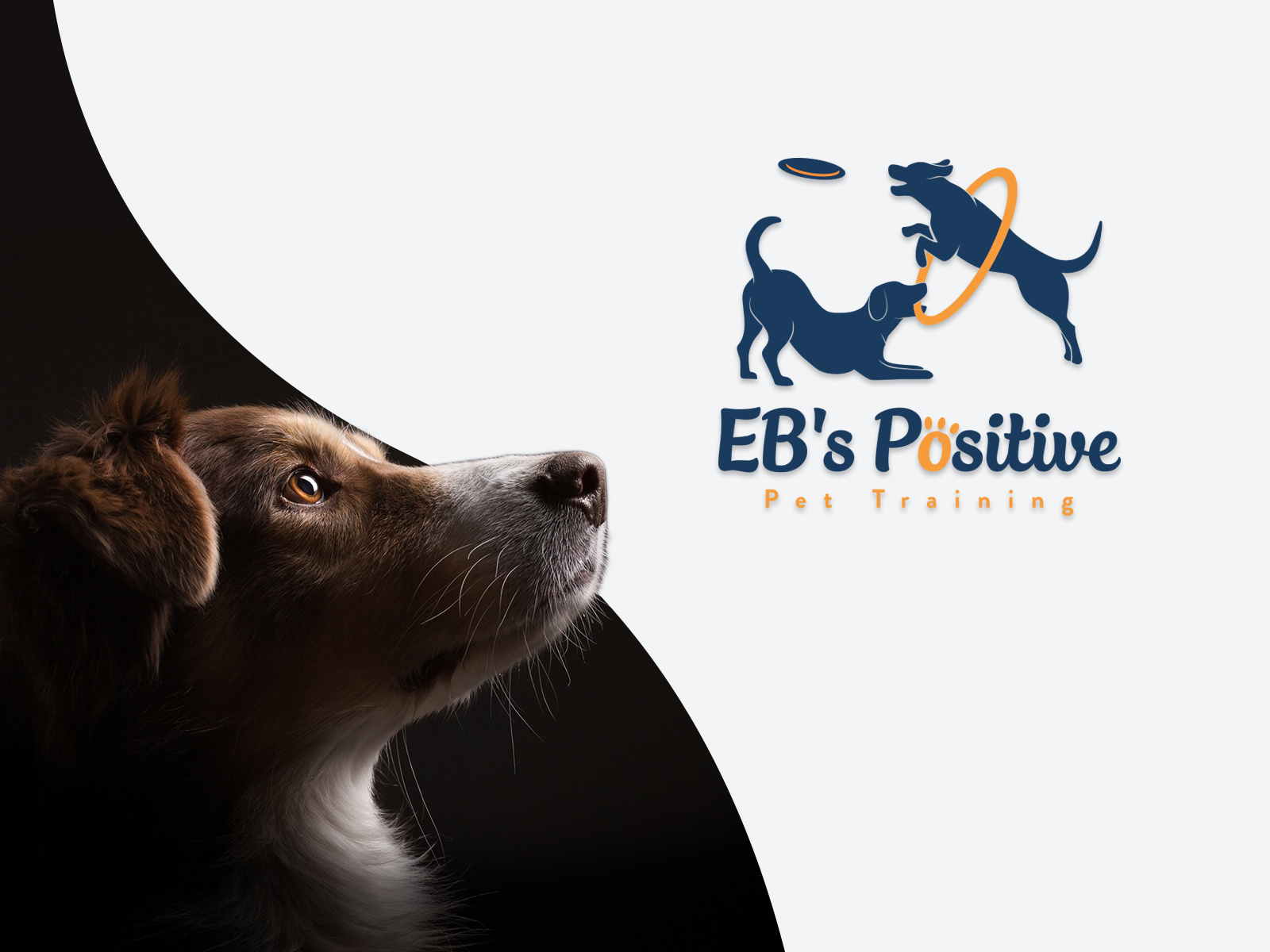 EB's Positive Pet Training by Juwel on Dribbble