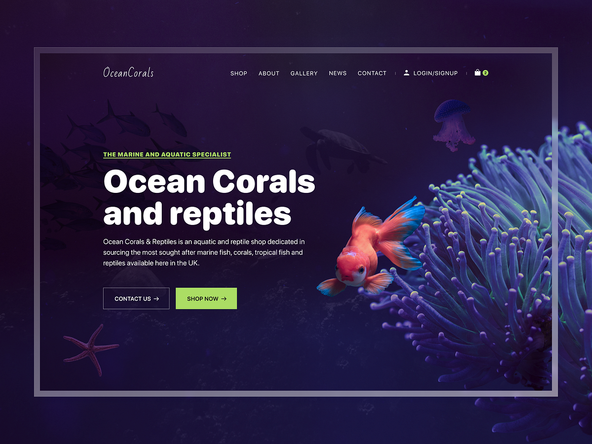 Fish and Aquarium Ecommerce Website by Thumbmunkeys on Dribbble