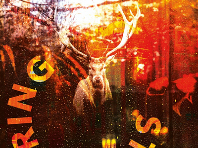 Staggering by Dean Begley on Dribbble