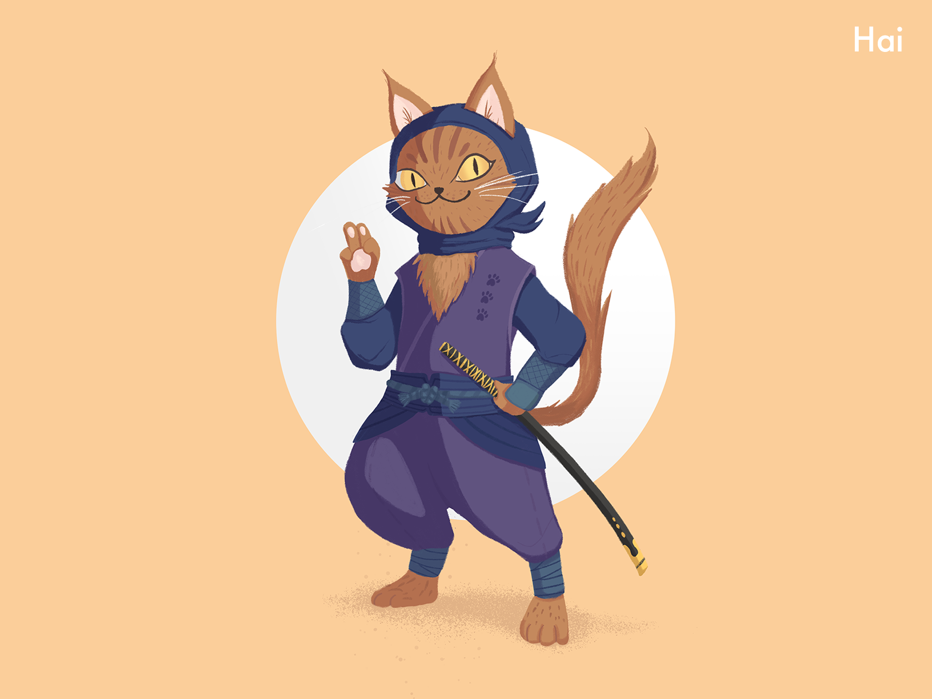 ninja cat by Hai on Dribbble