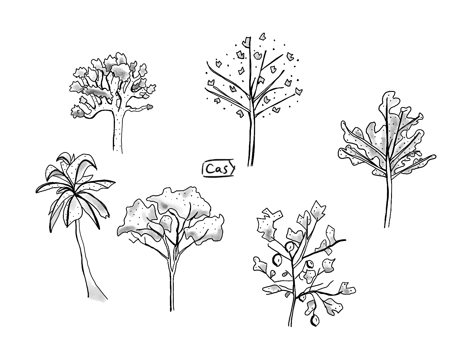 Trees Flash 🌲 🌳 🌴 by Cas Castrejon (they/them) on Dribbble