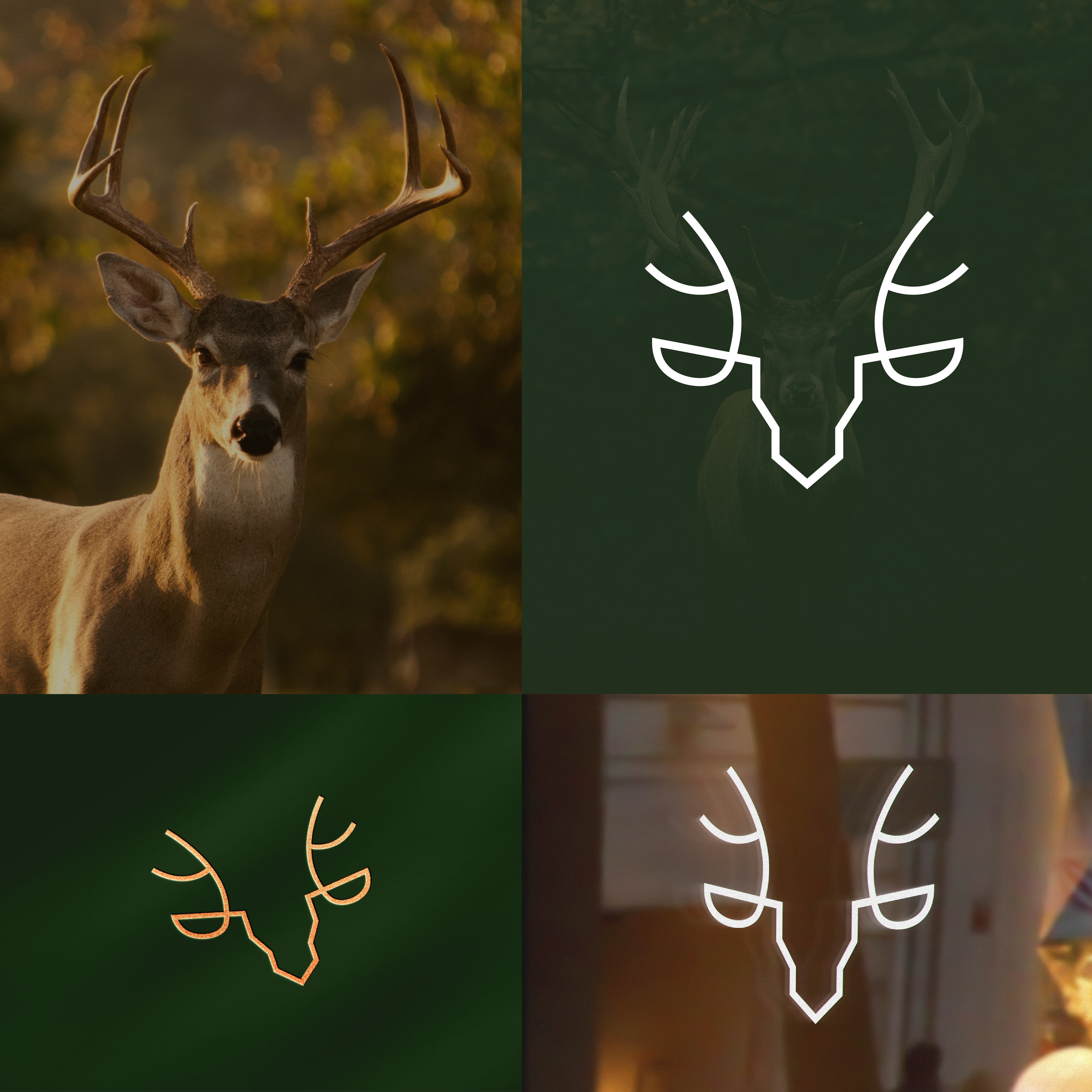 Deer logo by Manit kumar on Dribbble