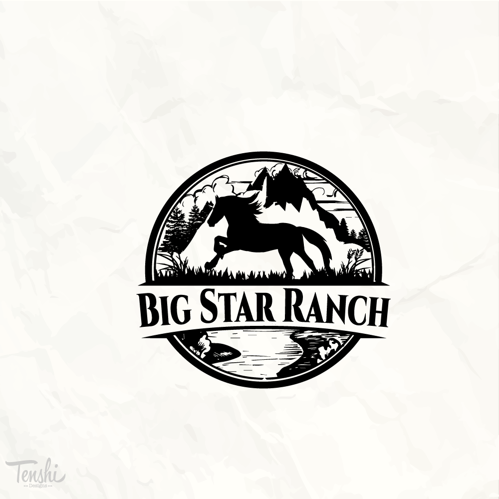 Big star ranch by TeNSHi on Dribbble