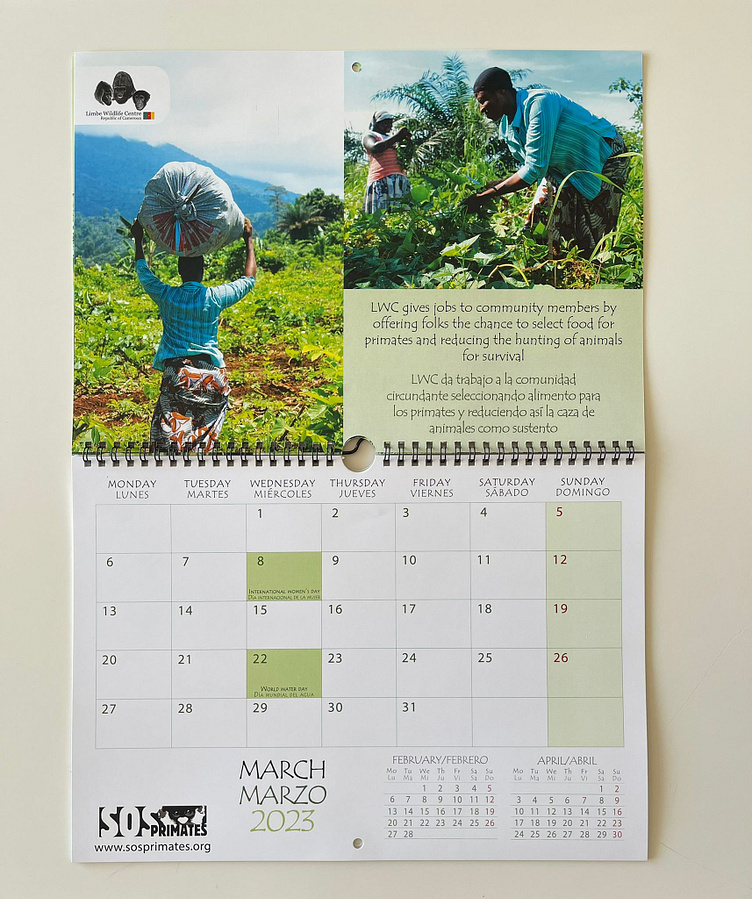 Calendar design (SOS Primates, non-profit) by Shirly Minimal on Dribbble