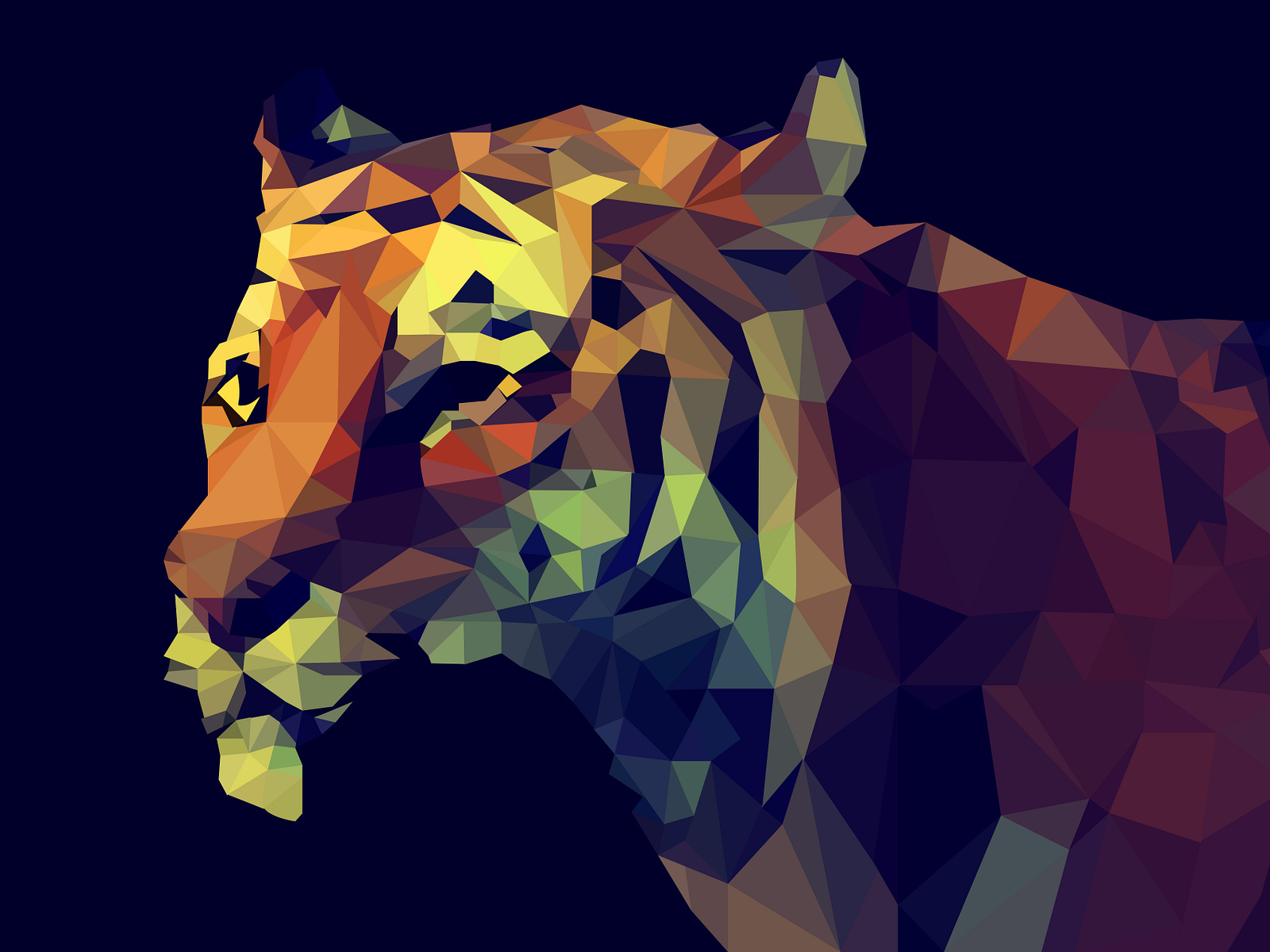 tiger poly art by HarrisArsal on Dribbble