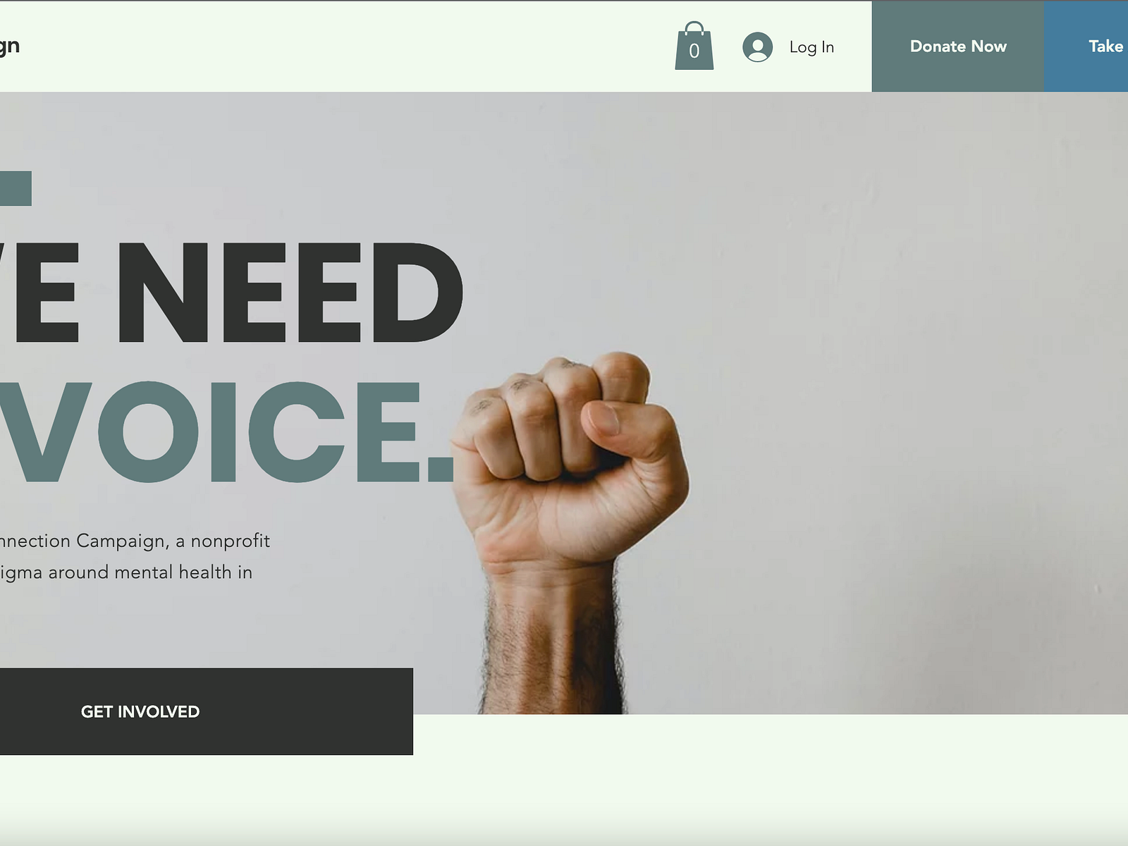 The Connection Campaign - Website Development + Design by Sruthi ...