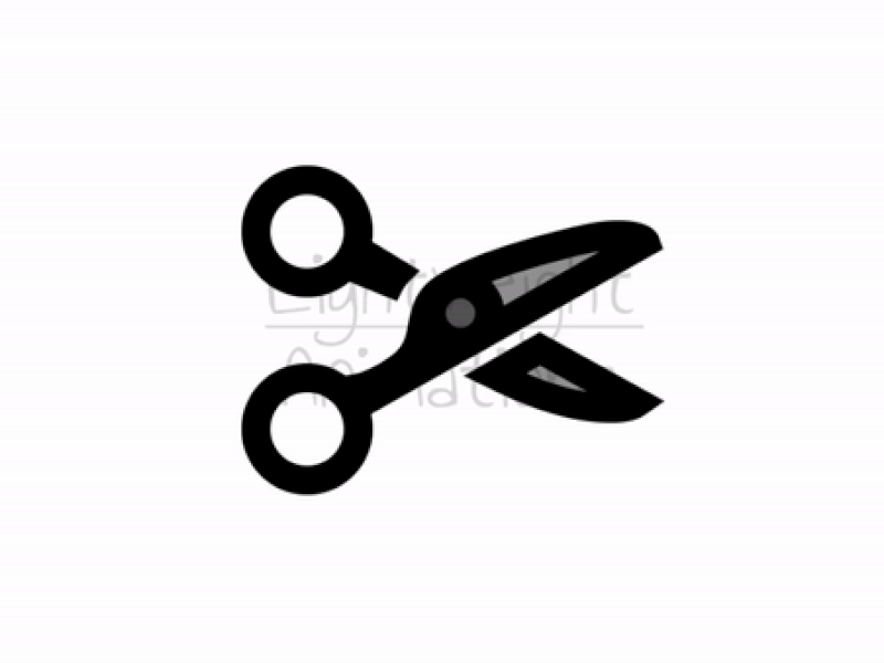 Scissors Lottie Animation by Colin Plathe on Dribbble