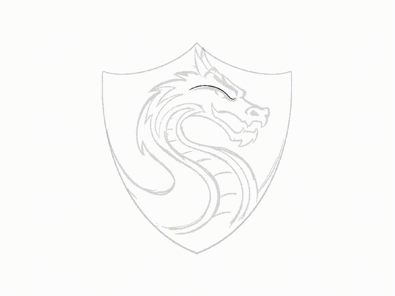 Browse thousands of Dragon Logo images for design inspiration | Dribbble