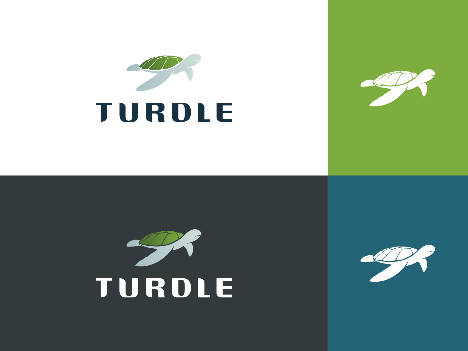 Turtle logo by Chandan B. Jal on Dribbble