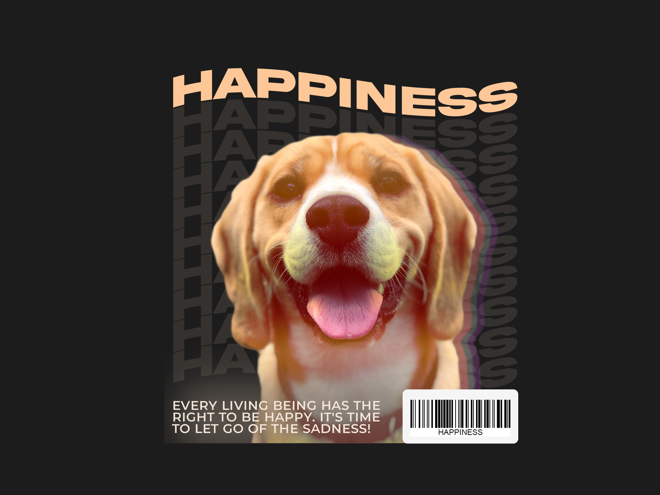HAPPINESS | Streetwear | Poster Design by Toni Ramadhan P on Dribbble