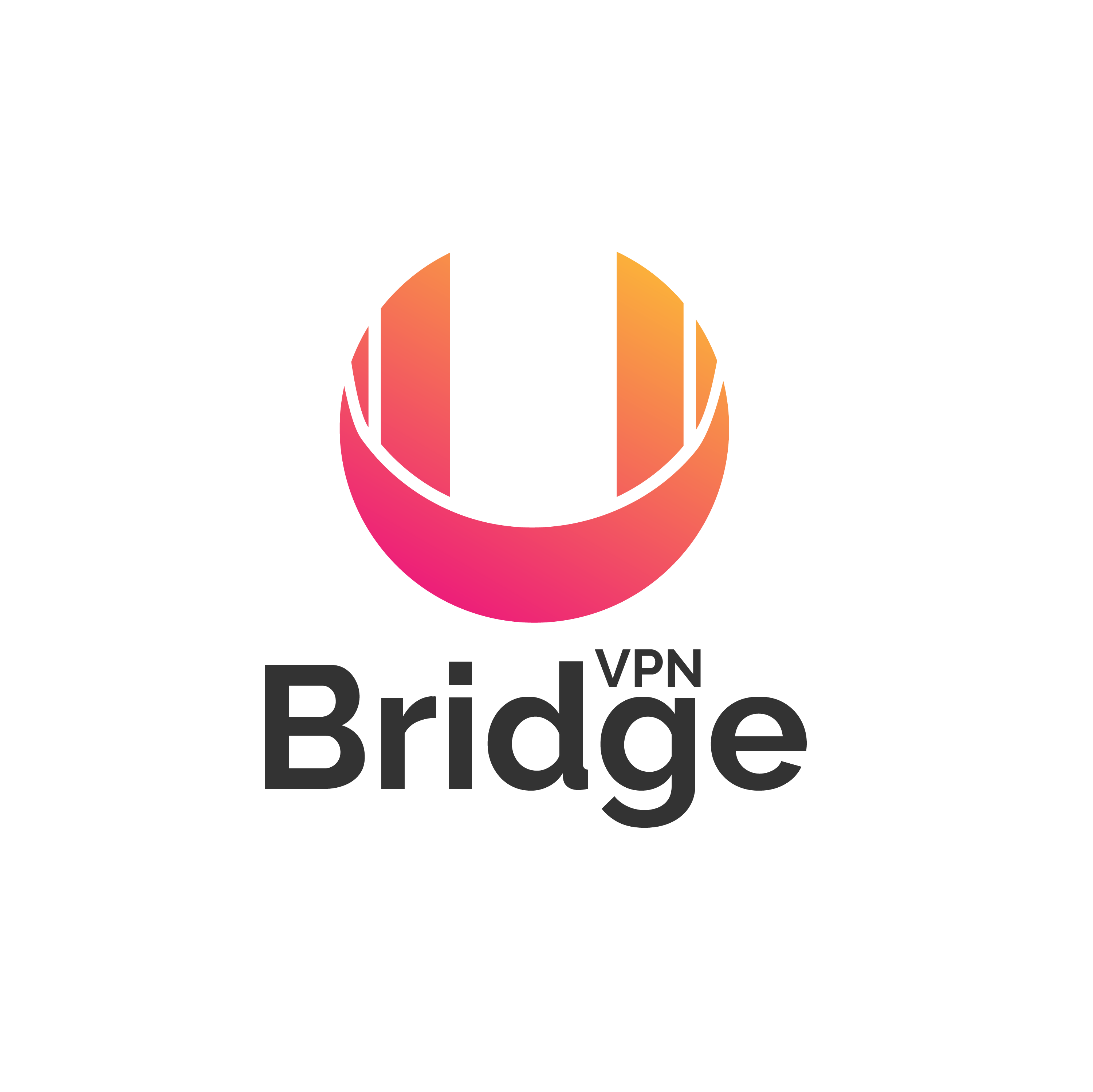 Bridge VPN Logo Design by Jesimiel Williams on Dribbble