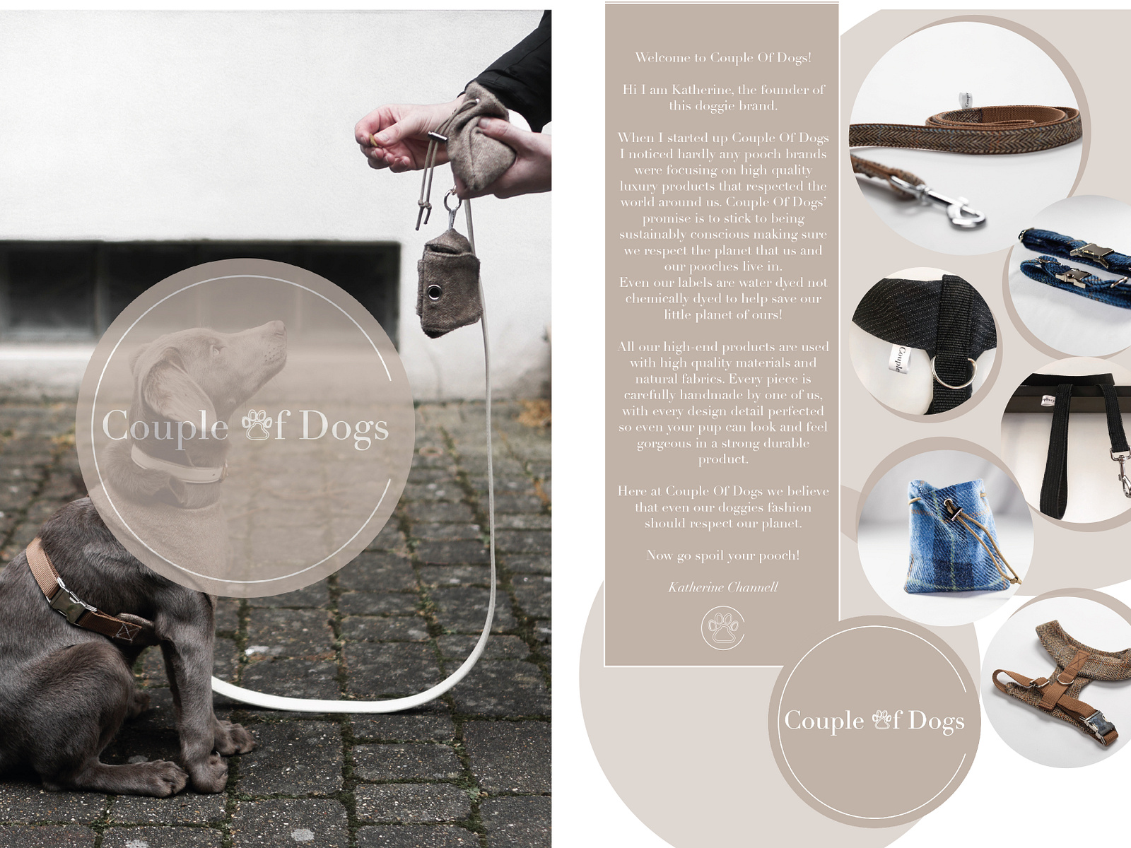 Leaflet Design for Couple Of Dogs by Katherine on Dribbble