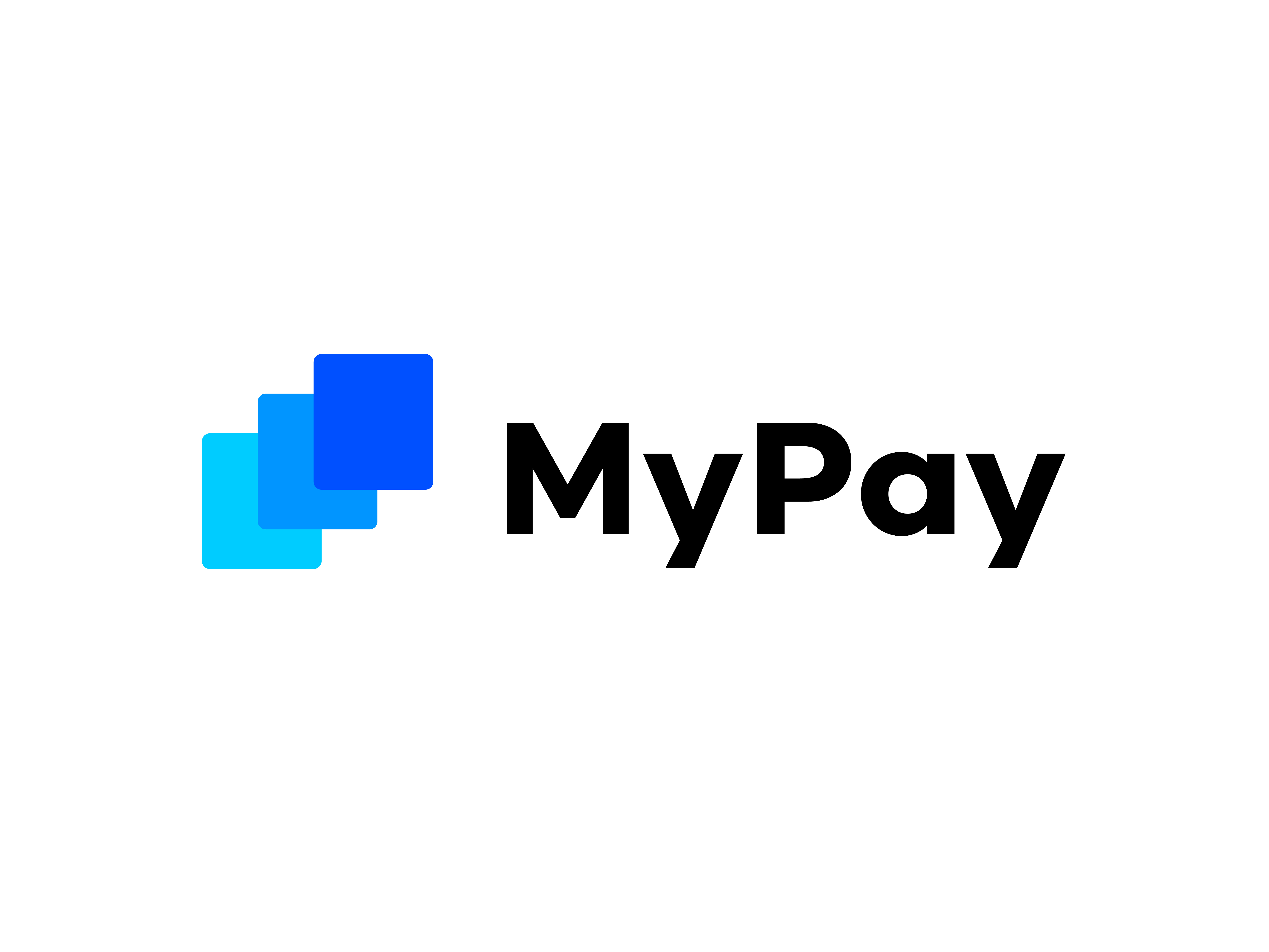 payment logo and brand identity guideline by Masum Billah on Dribbble