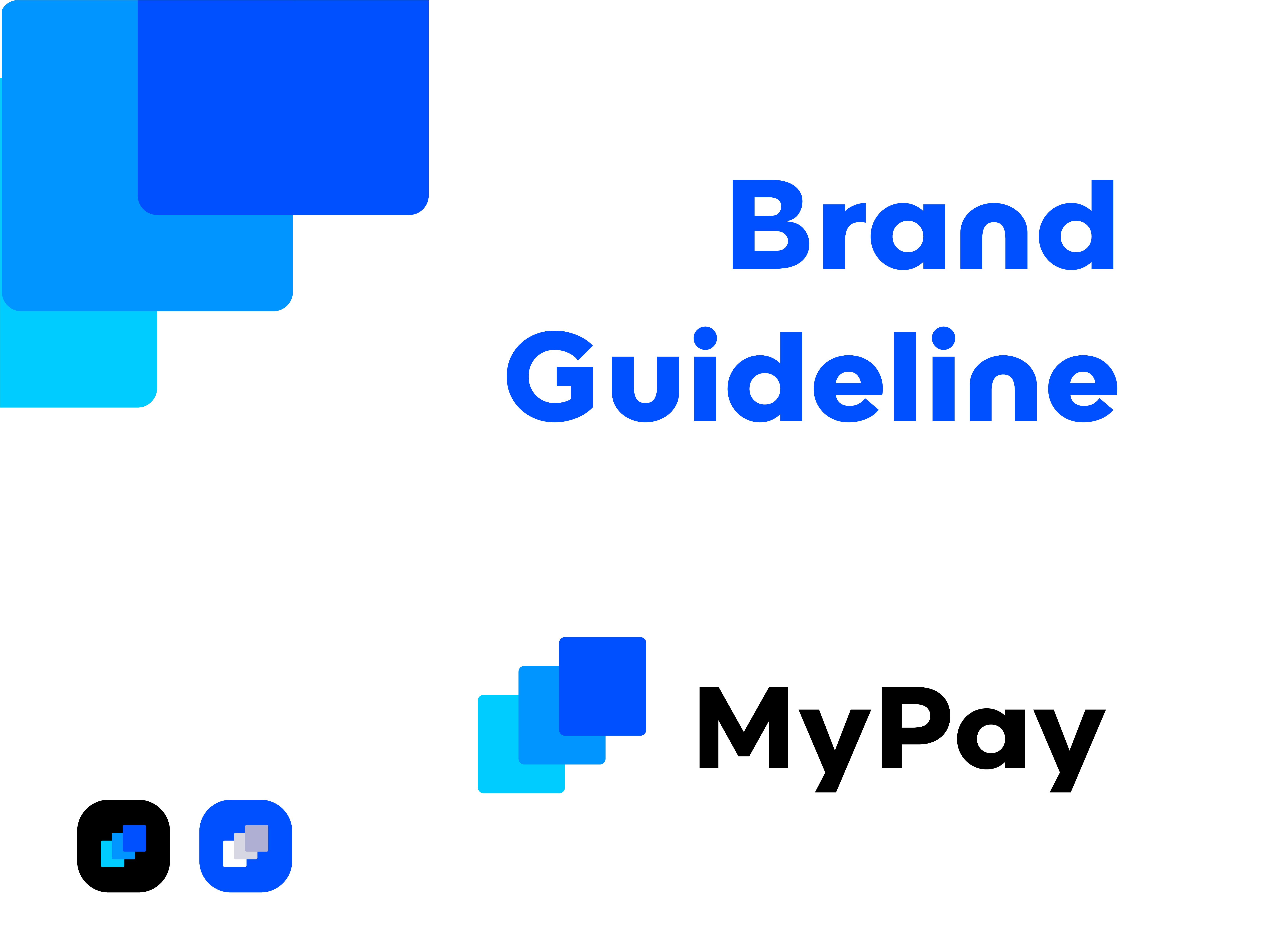 payment logo and brand identity guideline by Masum Billah on Dribbble