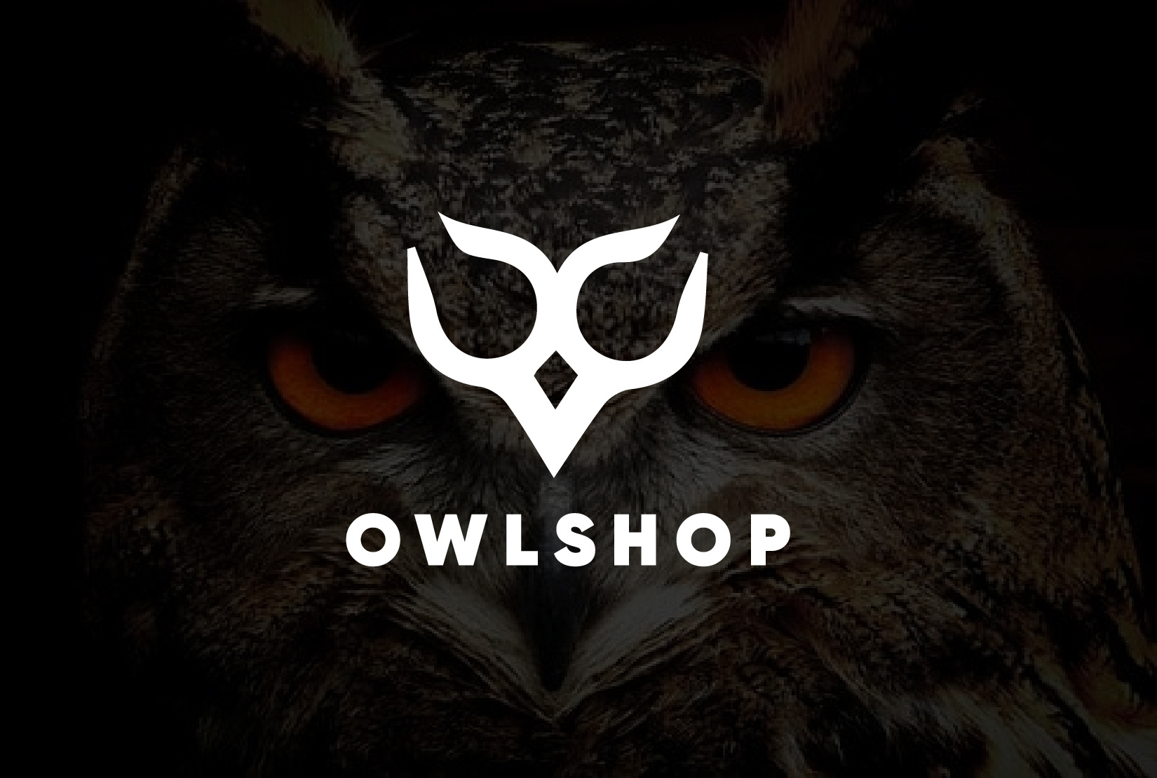OWL LOGO by MD. MANSUR ALI on Dribbble
