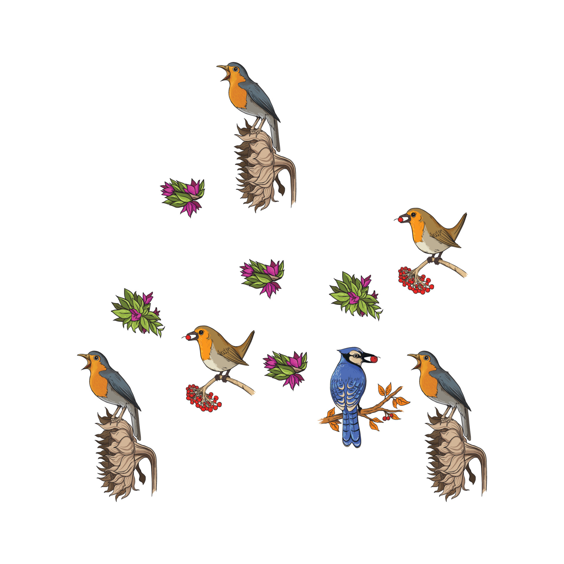 bird by Abdul Momen on Dribbble