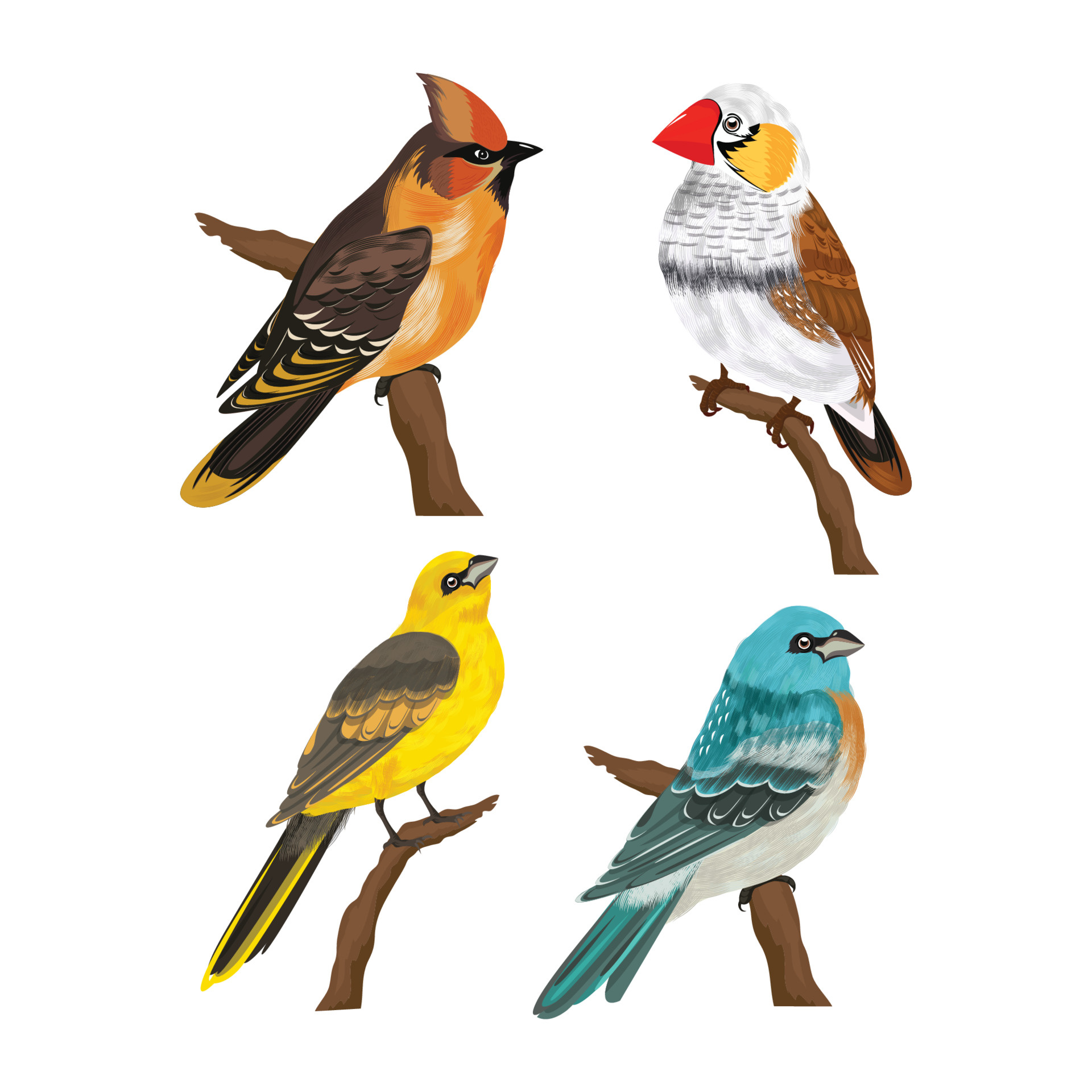 bird by Abdul Momen on Dribbble