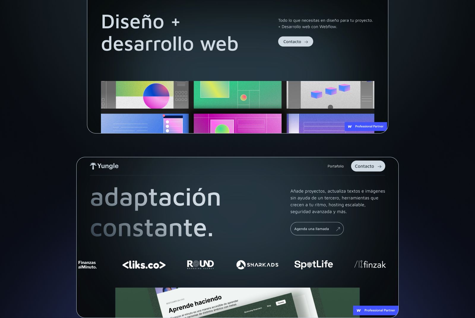 Yungle Website by Yungle | Webflow Experts & Professional Partners on Dribbble