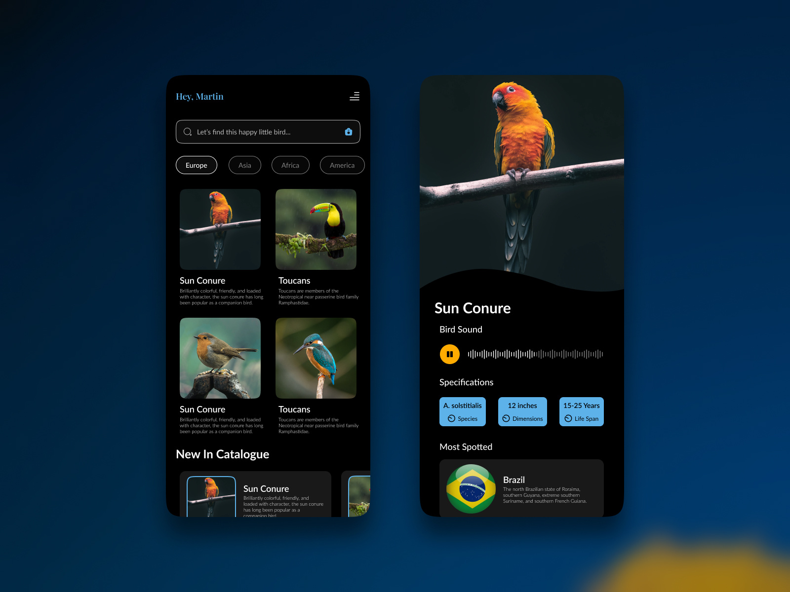 Birdwatcher App by Jay Vyas for Unpause on Dribbble