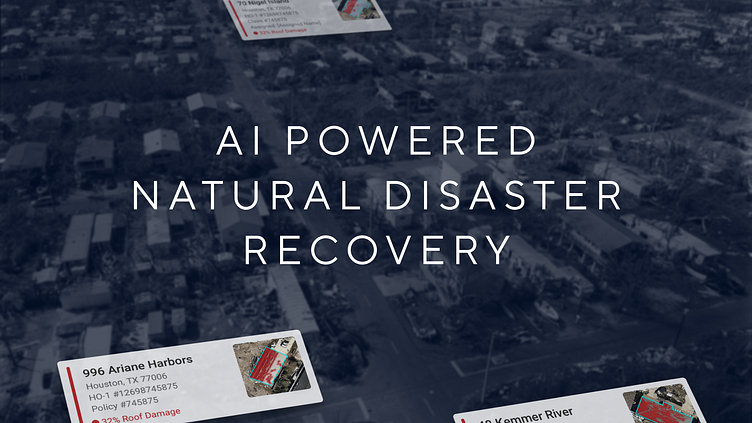 Property Insights – Catastrophe Insurance by Caleb Joyce on Dribbble