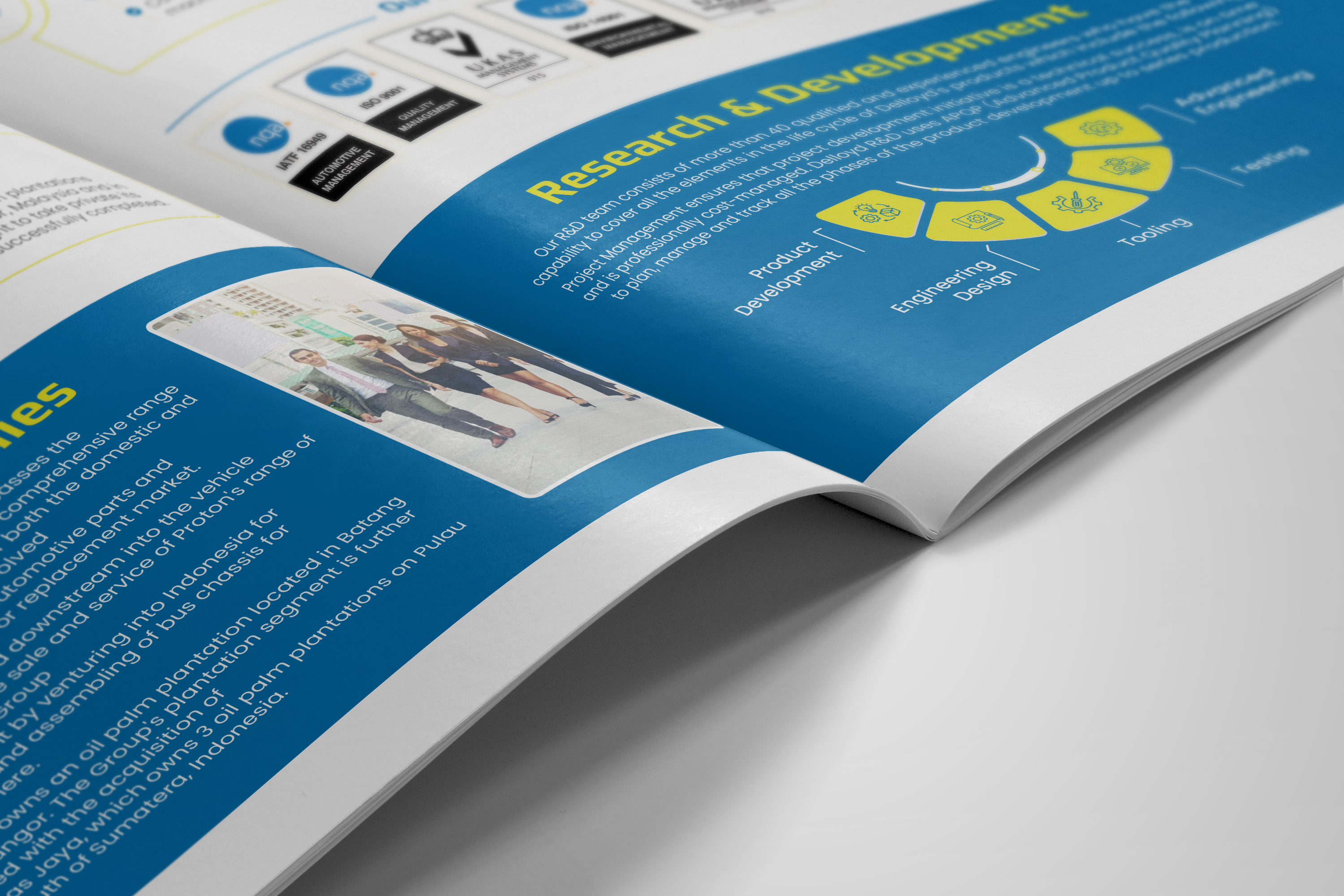 Company Profile Design by 𝐑𝐨𝐤𝐢𝐛 𝐔𝐝𝐝𝐢𝐧 on Dribbble