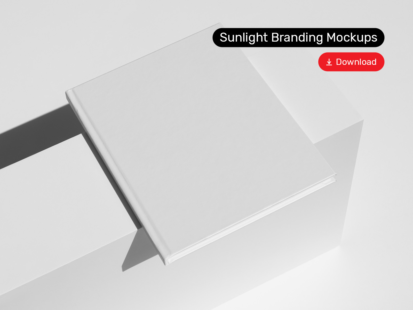 Sunlight Branding Mockups PSD Scene by Mr.Mockup™ on Dribbble