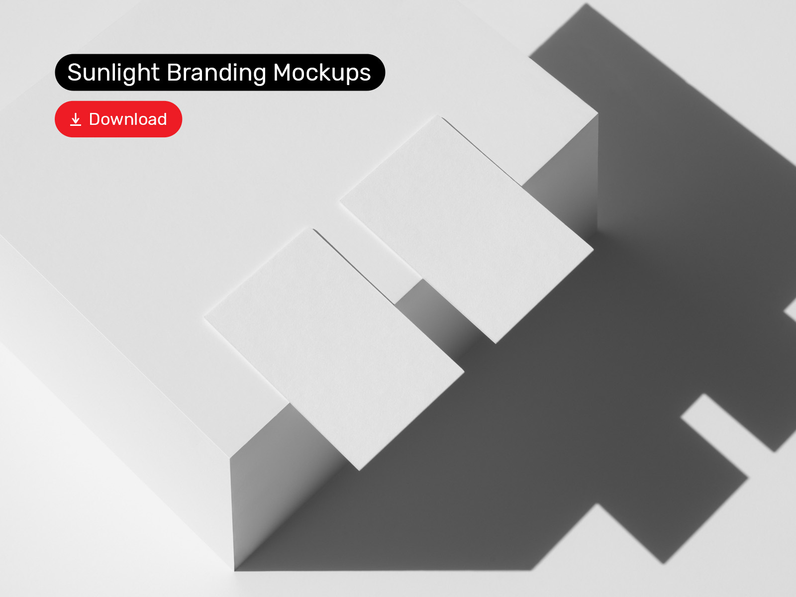 Sunlight Branding Mockups PSD Scene by Mr.Mockup™ on Dribbble