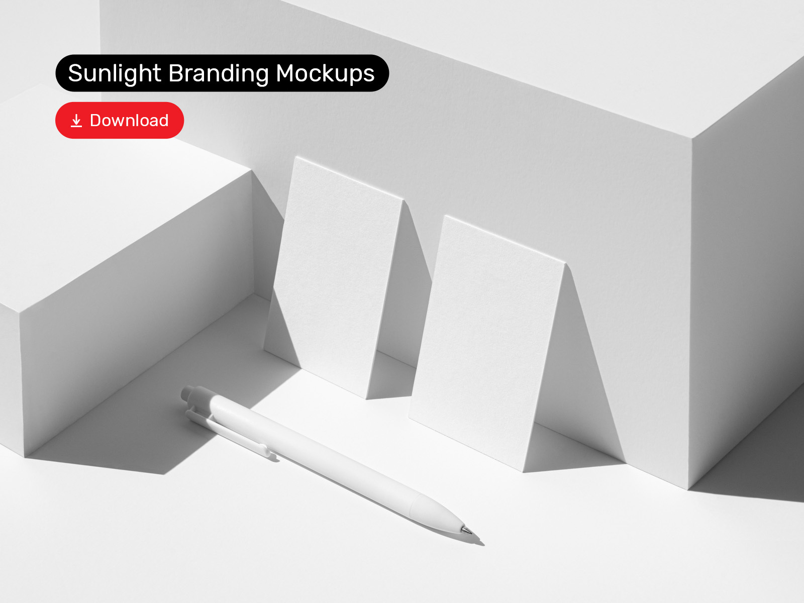 Sunlight Branding Mockups PSD Scene by Mr.Mockup™ on Dribbble