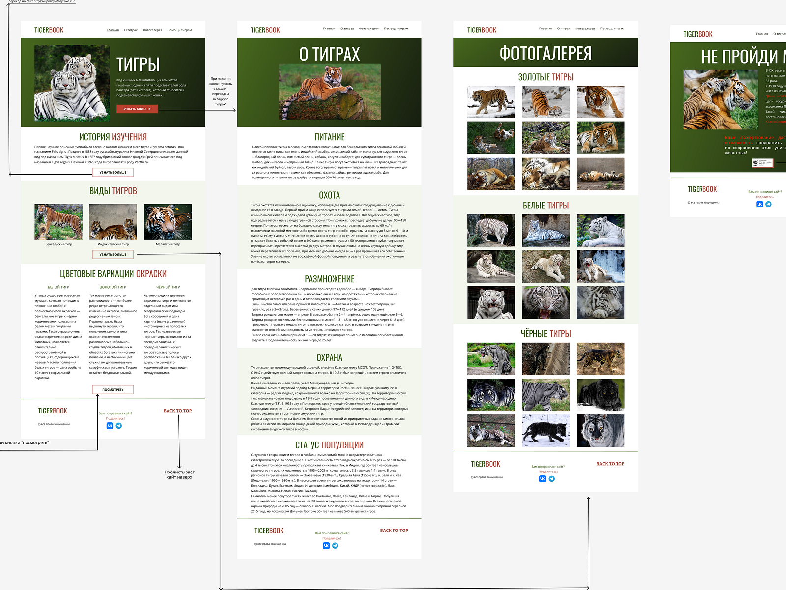 TIGERBOOK by Екатерина on Dribbble