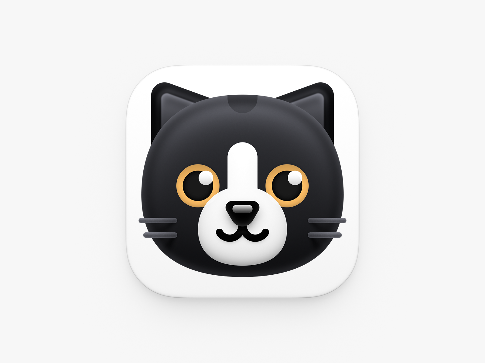 ServerCat Icon by Sandor on Dribbble