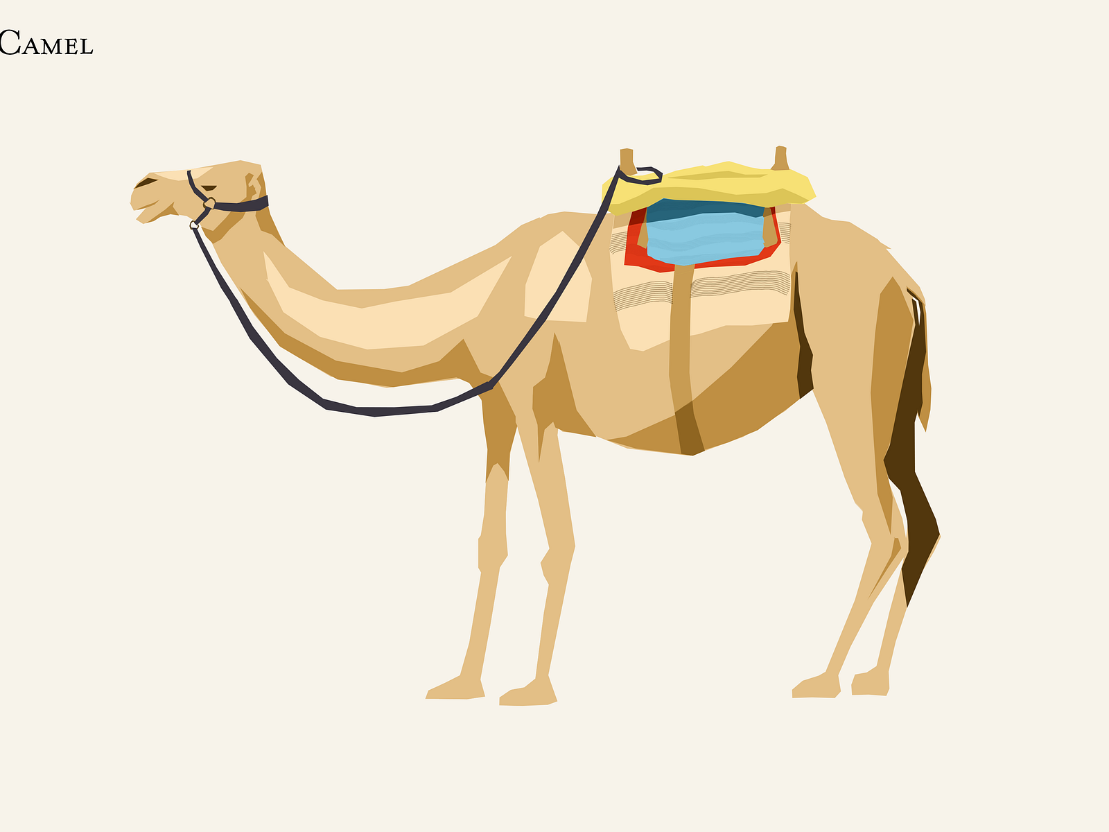 Camel Concept by Matthew Delatorre on Dribbble